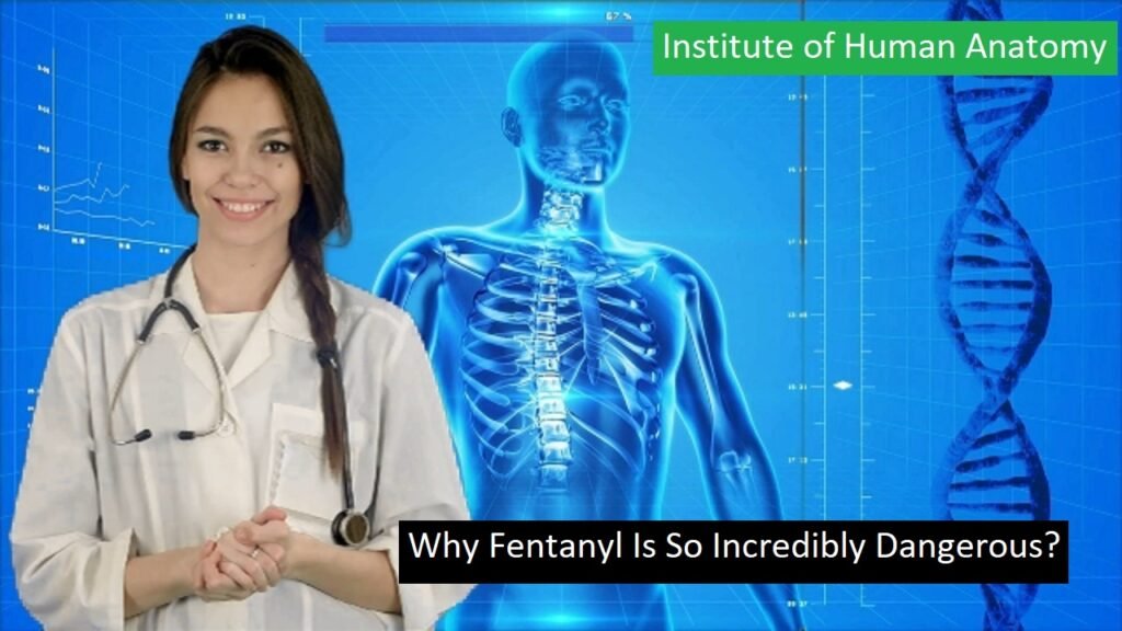Why Fentanyl Is So Incredibly Dangerous? - Europe Medical Healthcare ...